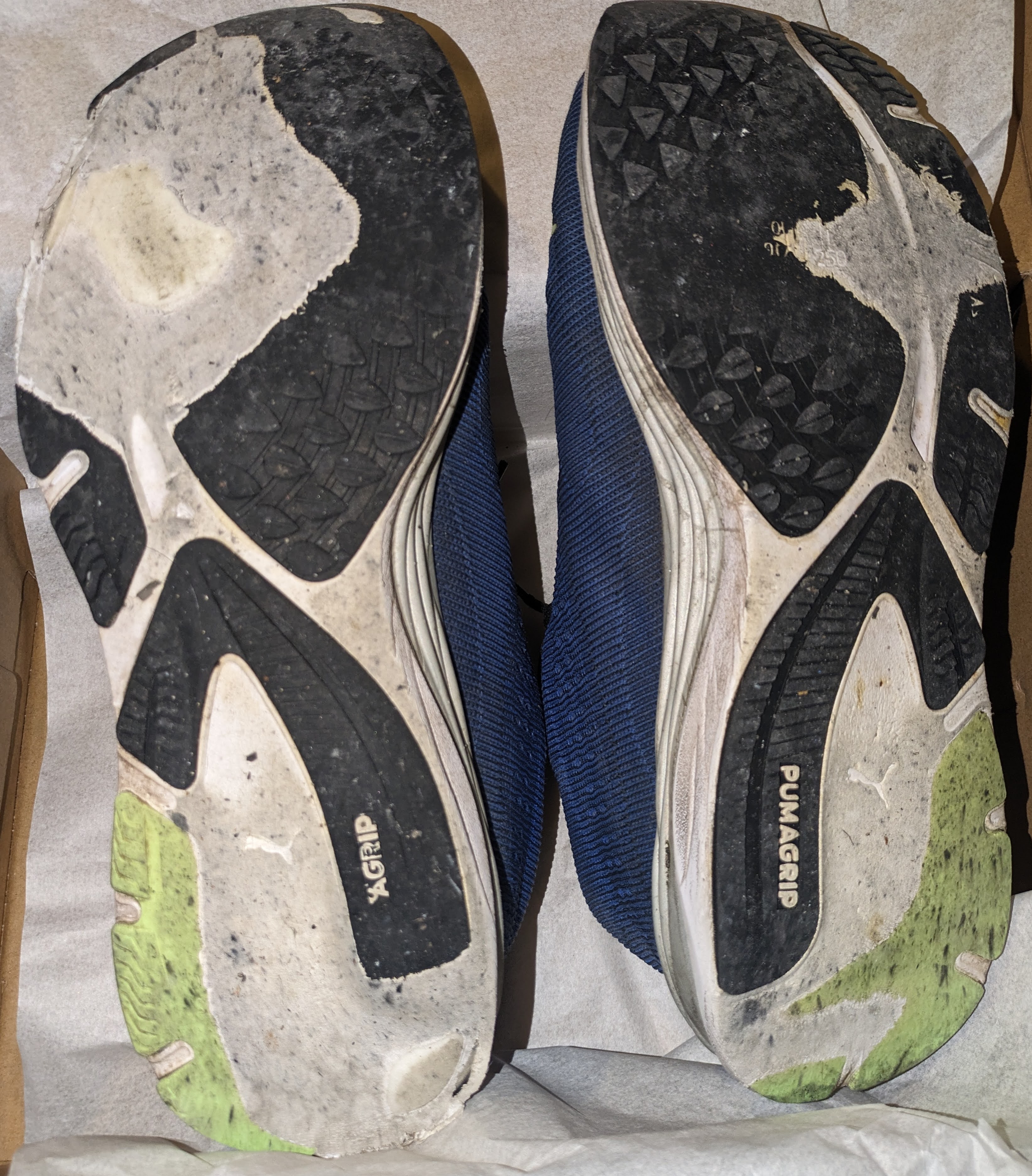 [PUMA] Velocity Nitro 2 | ~2724.62 Miles (Walking) : r/RunningShoeGeeks